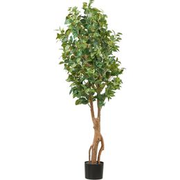 Creativ green Kunstpflanze &raquo;Ficus benjamina&laquo; mit sehr naturgetreu gestalteten Bl&auml;ttern gr&uuml;n Kunststoff