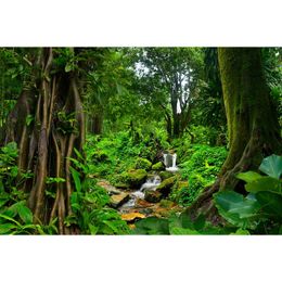 papermoon Fototapete &raquo;TROPISCHER WALD-BAUM DSCHUNGEL SONNE WEG PFLANZE BACH&laquo; bunt Vlies