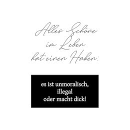 queence Wanddekoobjekt &raquo;Alles Sch&ouml;ne im Leben hat einen Haken: ...&laquo; Stahlschild, Blechschild, Spruch, Witzig, Wanddeko, retro, 20x30cm schwarz Stahl