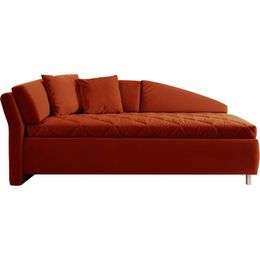 Alina Schlafsofa Bettkasten, Zierkissen-Set aus: 2 Stk. 40x40cm, 1 Stk. 30x30cm braun Samtstoff TSV (100% Polyester)