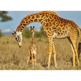 papermoon Fototapete &raquo;Masai Giraffe Protecting Baby&laquo; glatt bunt Vlies