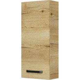 H&auml;ngeschrank &raquo;Serie 4010 Wand-Badschrank 30 cm breit mit 1 T&uuml;r, 2 Glas-Einlegeb&ouml;den&laquo; Badezimmer-H&auml;ngeschrank inkl. T&uuml;rd&auml;mpfer, Wandschrank 70 cm hoch 