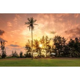 papermoon Fototapete &raquo;Palme auf Wiese&laquo; bunt Vlies