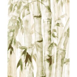 Komar Bild &raquo;Wild Bamboo&laquo; Natur 1 Stk. tlg. Wandbild zur Dekoration - ohne Rahmen gr&uuml;n Holz, Papier