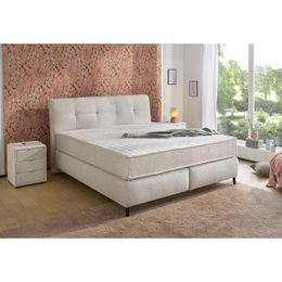 Jockenh&ouml;fer Boxspringbett &raquo;King-Size in der Breite 180cm&laquo; Extradicke XXL-7-Zonen-TTFK-Matratze (25cm hoch) Bezug Bett: Flachgewebe (100% Polyester);