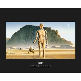 Komar Bild &raquo;Star Wars Classic RMQ Droids&laquo; Star Wars 1 Stk. tlg. Wandbild zur Dekoration im Kinderzimmer - ohne Rahmen bunt Holz, Papier