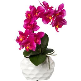 Creativ green Kunstorchidee &raquo;Deko-Orchidee Phalaenopsis im Keramiktopf&laquo; pink Obermaterial: 95% Polyethylen, 5% Polyester
