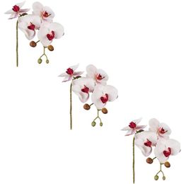 Creativ green Kunstblume &raquo;Phalaenopsis 3D-print&laquo; mit Real-Touch-Bl&uuml;ten rosa Obermaterial: 85% Polyester, 15% Polyethylen