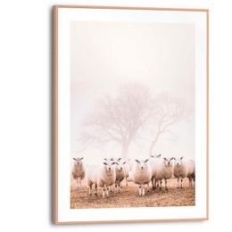 Reinders Poster &raquo;Schafe im Nebel&laquo; beige MDF