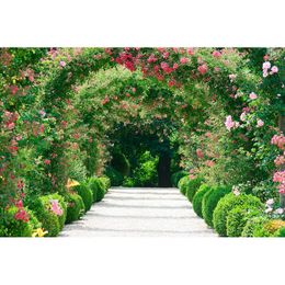 papermoon Fototapete &raquo;Rose Arch Garden&laquo; glatt bunt Vlies
