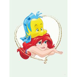 Komar Bild &raquo;Ariel & Fabius&laquo; Disney 1 Stk. tlg. Wandbild zur Dekoration im Kinderzimmer - ohne Rahmen bunt Holz, Papier