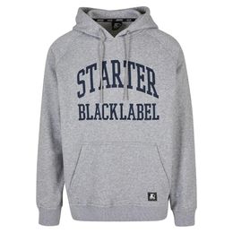 Starter Black Label Sweatshirt 'Raglan' male Grey size S
