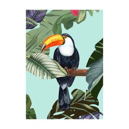 Komar Bild &raquo;Toco Toucan&laquo; Natur 1 Stk. tlg. Wandbild zur Dekoration - ohne Rahmen bunt Holz, Papier