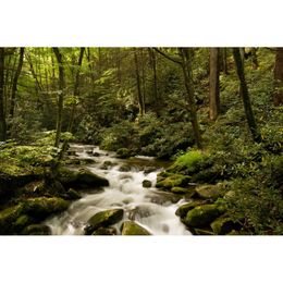 papermoon Fototapete &raquo;BACH IM WALD-B&Auml;UME FLUSS SEE STEINE BLUMEN BERGE SONNE&laquo; bunt Vlies