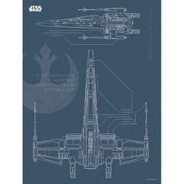 Komar Bild &raquo;Star Wars Blueprint X-Wing&laquo; Star Wars 1 Stk. tlg. Wandbild zur Dekoration im Kinderzimmer - ohne Rahmen schwarz-wei&szlig; Holz, Papier