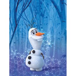 Komar Bild &raquo;Frozen Olaf Crystal&laquo; Disney 1 Stk. tlg. Wandbild zur Dekoration im Kinderzimmer - ohne Rahmen bunt Holz, Papier