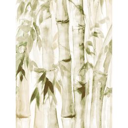 Komar Bild &raquo;Wild Bamboo&laquo; Natur 1 Stk. tlg. Wandbild zur Dekoration - ohne Rahmen gr&uuml;n Holz, Papier
