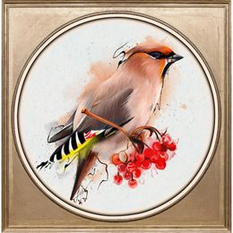 queence Acrylglasbild &raquo;Bunter Vogel II&laquo; Gem&auml;lde Kunst Tiere Vogelbilder V&ouml;gel Fine Art-Print in Galeriequalit&auml;t bunt Acrylglas