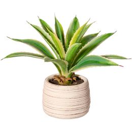 Creativ green K&uuml;nstliche Zimmerpflanze &raquo;Agave im Zementtopf&laquo; gr&uuml;n Obermaterial: 100% Polyethylen