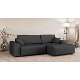 Home Affaire Ecksofa &raquo;Santenay mit Bettfunktion und Bettkasten, Ma&szlig;e: B/T/H 266/164/90 cm&laquo; L-Form mit Wellenfederung, Schlaffl&auml;che: 140x213 cm, auch 