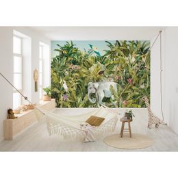 Komar Fototapete &raquo;Jungle Expedition&laquo; bedruckt glatt 350 x 250 cm (Breite x H&ouml;he) - Tapete, Vlies, Wohnzimmer, Schlafzimmer gr&uuml;n Vlies