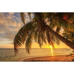 papermoon Fototapete &raquo;PALMEN-STRAND-KARIBIK S&Uuml;DSEE MEER D&Uuml;NEN SONNE OZEAN XXL&laquo; bunt Vlies