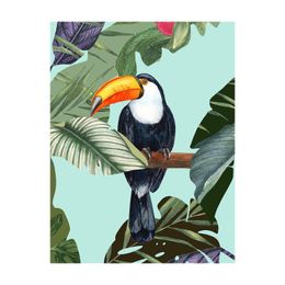 Komar Bild &raquo;Toco Toucan&laquo; Natur 1 Stk. tlg. Wandbild zur Dekoration - ohne Rahmen bunt Holz, Papier