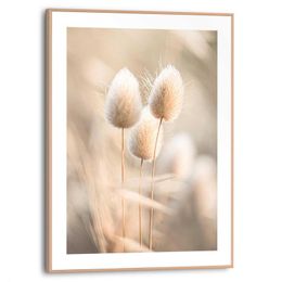 Reinders Poster &raquo;Plumes&laquo; Wohnzimmer - Grasfedern - Beige - MDF - Blumen und Pflanzen - 30x40 cm beige