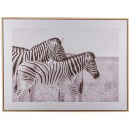 Creativ home Bild mit Rahmen &raquo;Zebra&laquo; 1 Stk. tlg. mit schwarz-wei&szlig;em Motiv schwarz-wei&szlig; Papier