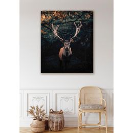 Leinwandbild Hirsch Hirschbilder Hirsche Natur Rehe Tiere Wald Wildtiere 1 Stk. tlg. schwarz Canvas, MDF