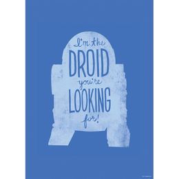 Komar Bild &raquo;Star Wars Silhouette Quotes R2D2&laquo; Disney 1 Stk. tlg. Wandbild zur Dekoration im Kinderzimmer - ohne Rahmen bunt Holz, Papier