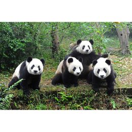 papermoon Fototapete &raquo;GRO&szlig;ER PANDA B&Auml;R-TIERE CHINA WALD LANDSCHAFT B&Auml;UME&laquo; bunt Vlies
