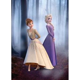 Komar Bild &raquo;Frozen Wood Walk&laquo; Disney 1 Stk. tlg. Wandbild zur Dekoration im Kinderzimmer - ohne Rahmen bunt Holz, Papier