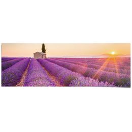Reinders Poster &raquo;Lavendel Horizont&laquo; 1 Stk. tlg. lila Papier