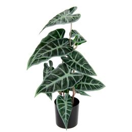 I.GE.A. Kunstpflanze &raquo;Calathea&laquo; Kunst-Pflanze Seidenblumen ZimmerpflanzeZebrina Alocasia Sanderiana gr&uuml;n Obermaterial: 80% Polyester, 20% Kunststoff