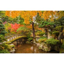 papermoon Fototapete &raquo;Br&uuml;cke im Garten&laquo; bunt Vlies