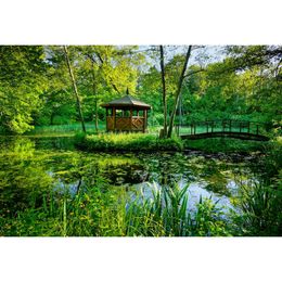 papermoon Fototapete &raquo;GARTEN-BLUMEN B&Auml;UME PFLANZEN PARK STEINE BL&Uuml;TEN WALD&laquo; bunt Vlies