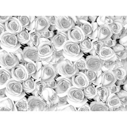 papermoon Fototapete &raquo;graue Rosen&laquo; bunt Vlies
