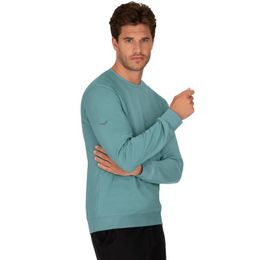 TRIGEMA Herren Sweatshirt &raquo;TRIGEMA Sweatshirt aus Biobaumwolle&laquo; gr&uuml;n L