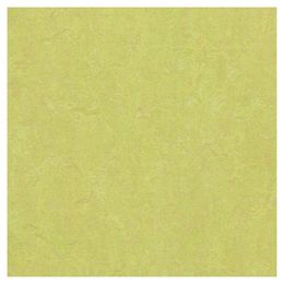 forbo Linoleum Marmoleum Click spring buds Bodenbelag, 1 Pack g&uuml;nstig