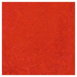 forbo Linoleum Marmoleum Click scarlet Bodenbelag, 1 Pack g&uuml;nstig