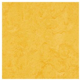 forbo Linoleum Marmoleum Click lemon zest Bodenbelag, 1 Pack g&uuml;nstig