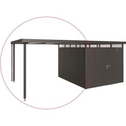 BioHort Seitendach Ger&auml;tehaus HighLine H2-H5 dunkelgrau-metallic, Gr. L (282x315 cm), H5 (275x315 cm)