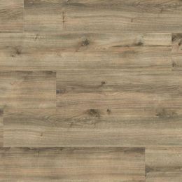HARO Landhausdiele DISANO LifeAqua TC 4V Gebirgseiche greige strukturiert, 1282x235x8,8 mm, 1 Pack