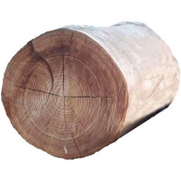 TETZNER & JENTZSCH T&J Baumstammbank/Baumstumpf/Sitz- oder Spielpoller ROBINIE naturbelassen, 150 cm, 32 cm