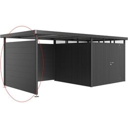 BioHort Seitenwand f&uuml;r Seitendach Ger&auml;tehaus HighLine H2-H5 dunkelgrau-metallic, H4 (237x181 cm)