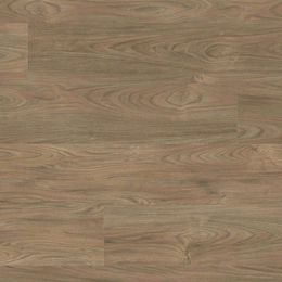 HARO Laminat TRITTY 200 Aqua TC Gran Via 4V Ulme Vario authentic soft, Mit Silent CT D&auml;mmunterlage, 1 Pack
