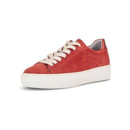 Gabor Comfort Damen Sneaker &raquo; Sneaker Veloursleder&laquo; 38