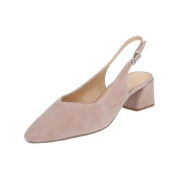 Peter Kaiser Damen Pumps &raquo; Pumps Veloursleder&laquo; 35,5