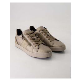 Geox Sneaker low in Bronze | Gr.: 39